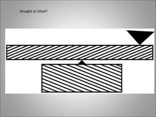 Optical illusions | PPT