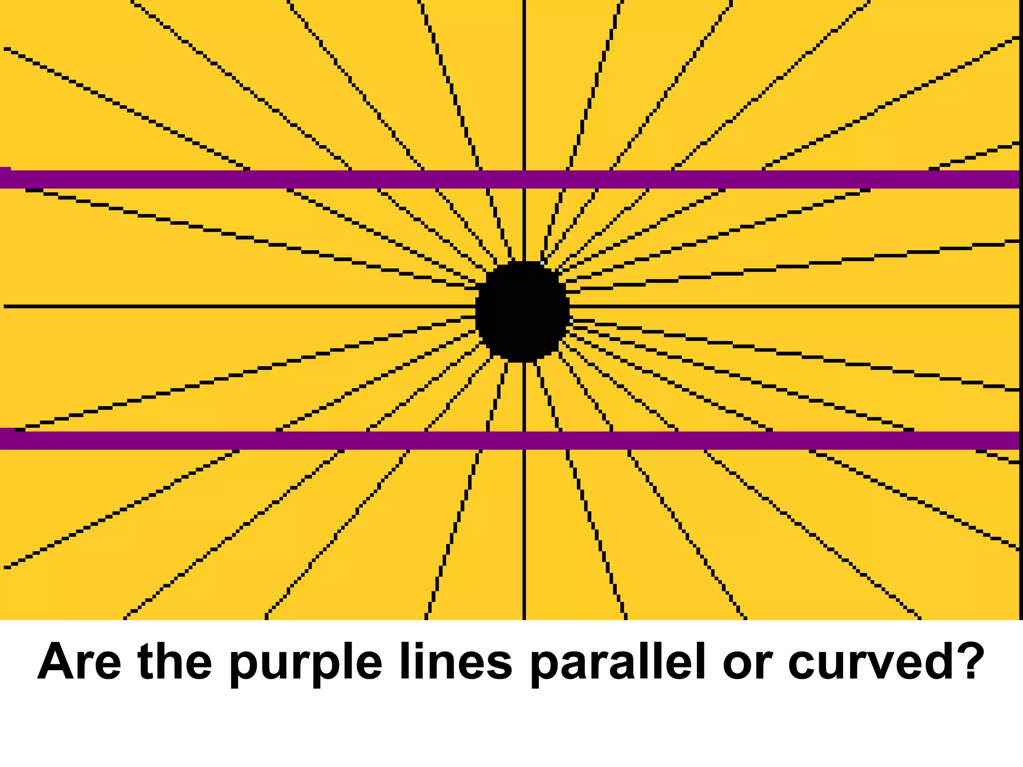 Optical Illusions!! | PPT