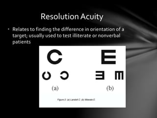 Optical illusions | PPT
