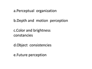 Optical illusions | PPTX