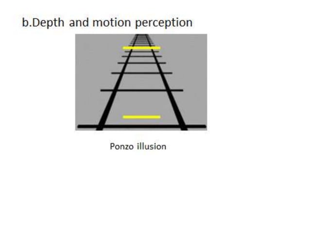 Optical illusions | PPTX | Eye and Vision Conditions | Diseases and ...