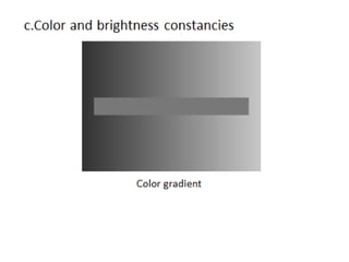 Optical illusions | PPT