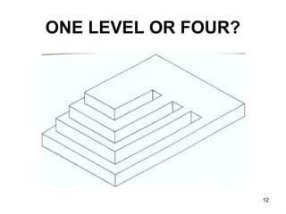 Optical Illusions | PPT