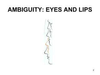 Optical Illusions | PPT