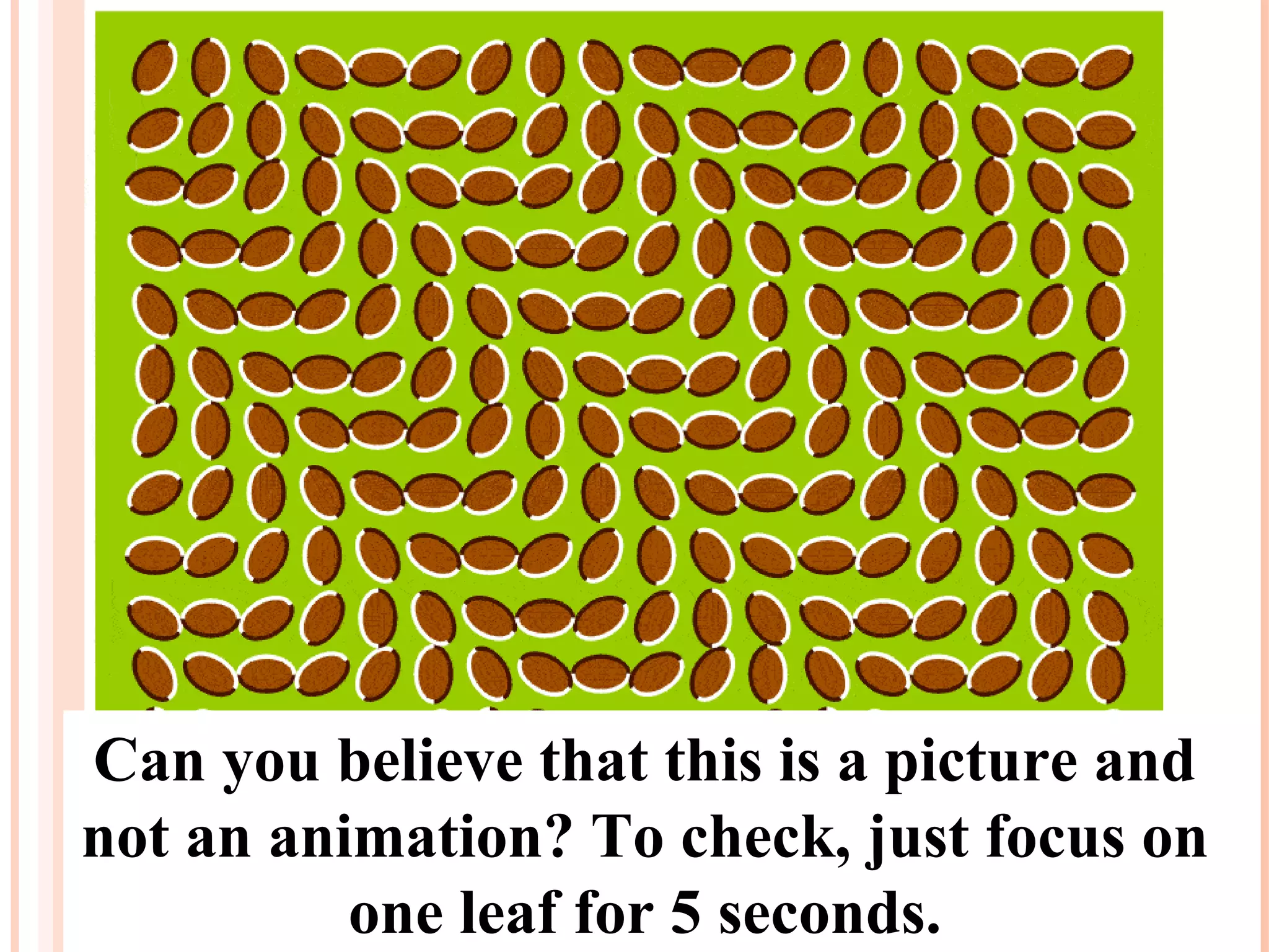 Optical illusions | PPT