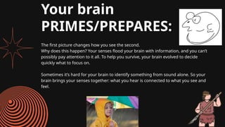 Optical Illusions Introduction for Students | PPTX