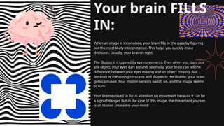 Optical Illusions Introduction for Students | PPT