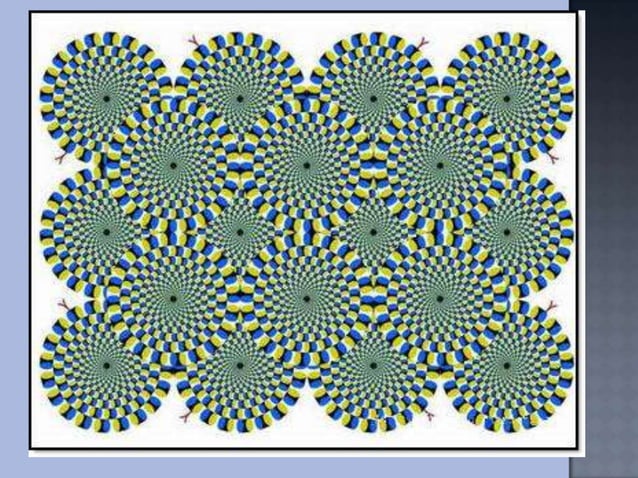Optical Illusions | PPT
