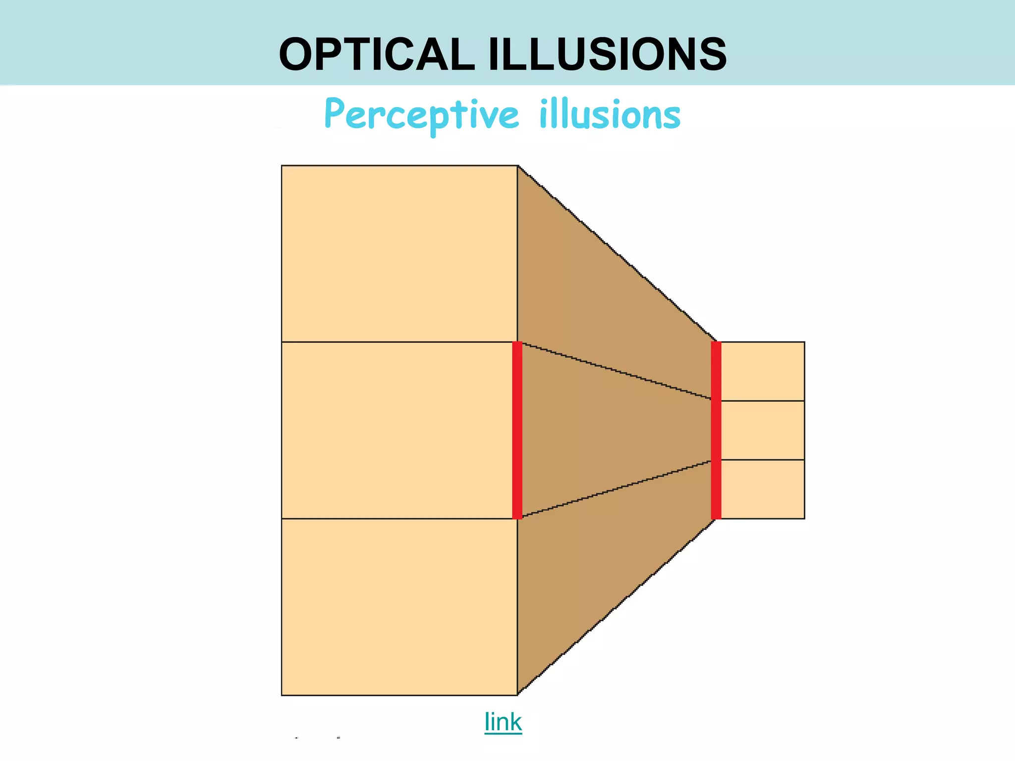Optical illusions and visual perception | PPT