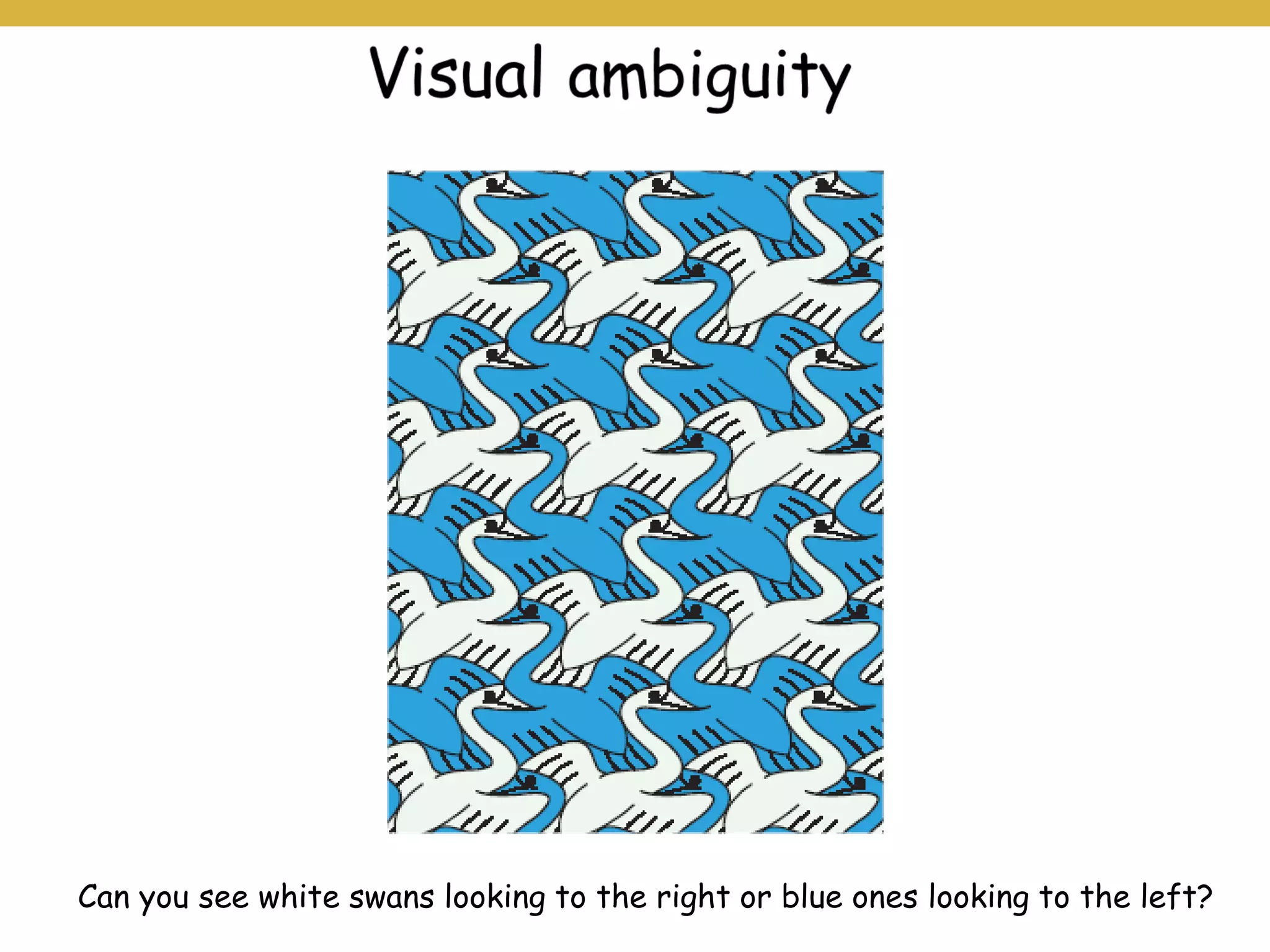 Optical illusions and visual perception | PPT