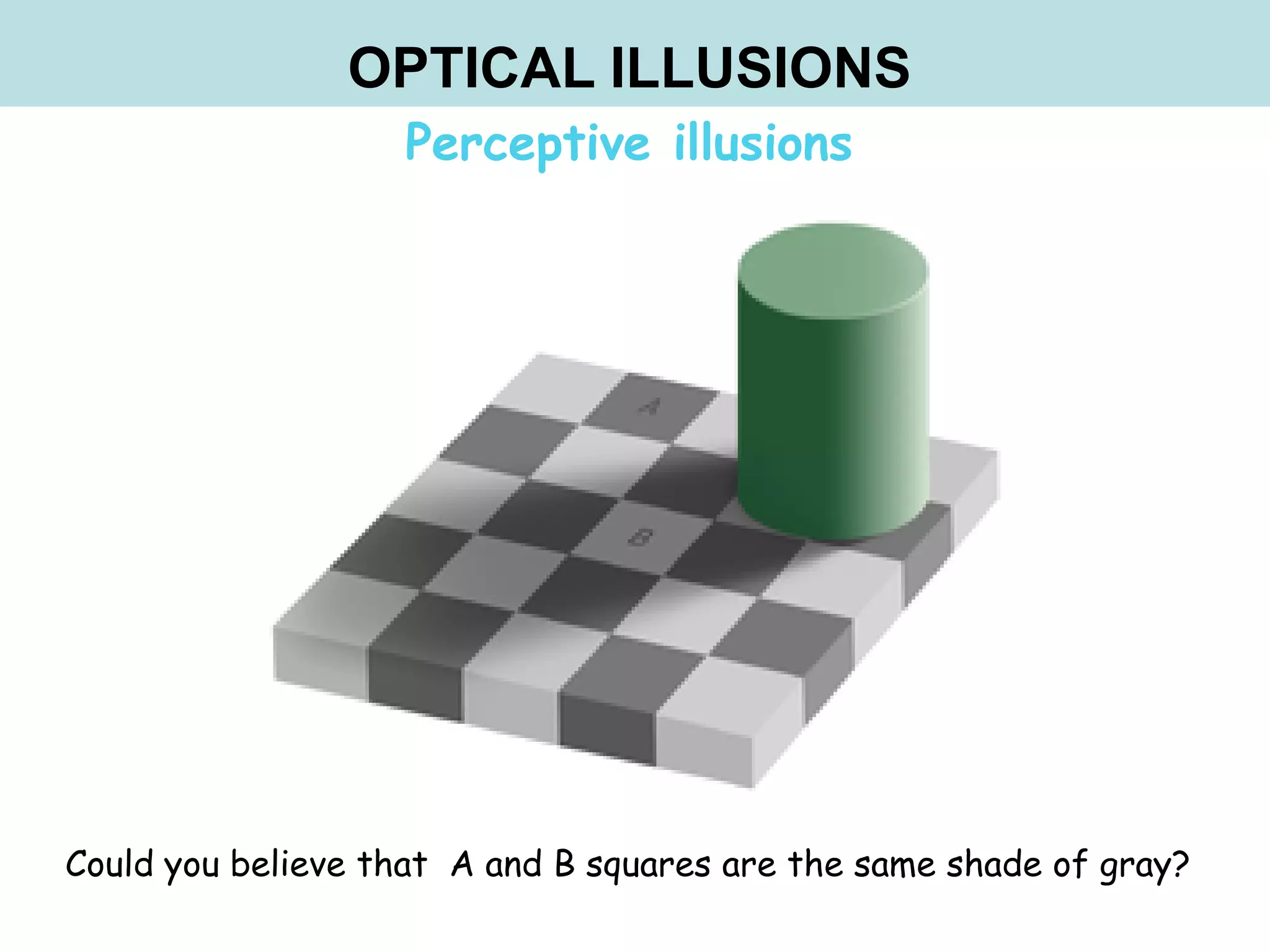 Optical illusions and visual perception | PDF