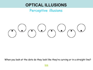 Optical illusions and visual perception | PPT