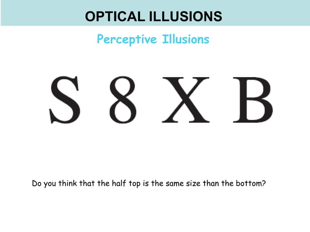 Optical illusions and visual perception | PPT