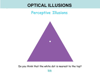Optical illusions and visual perception | PDF