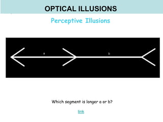 Optical illusions and visual perception | PDF