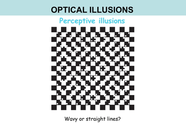 Optical illusions and visual perception | PPT
