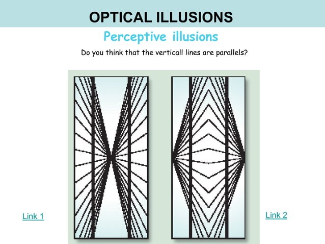 Optical illusions and visual perception | PPT