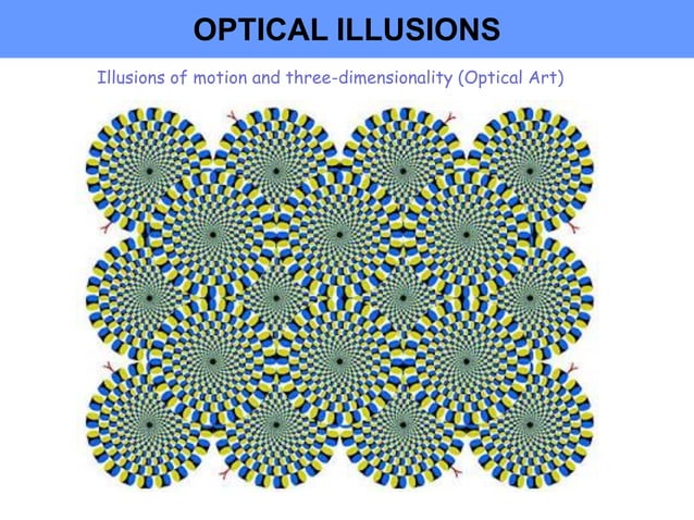 Optical illusions and visual perception | PPT