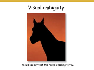 Optical illusions and visual perception | PPT