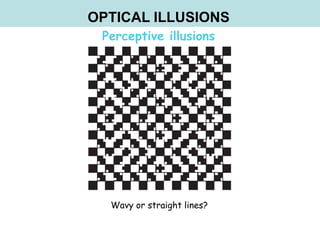 Straight Object Optical Illusion