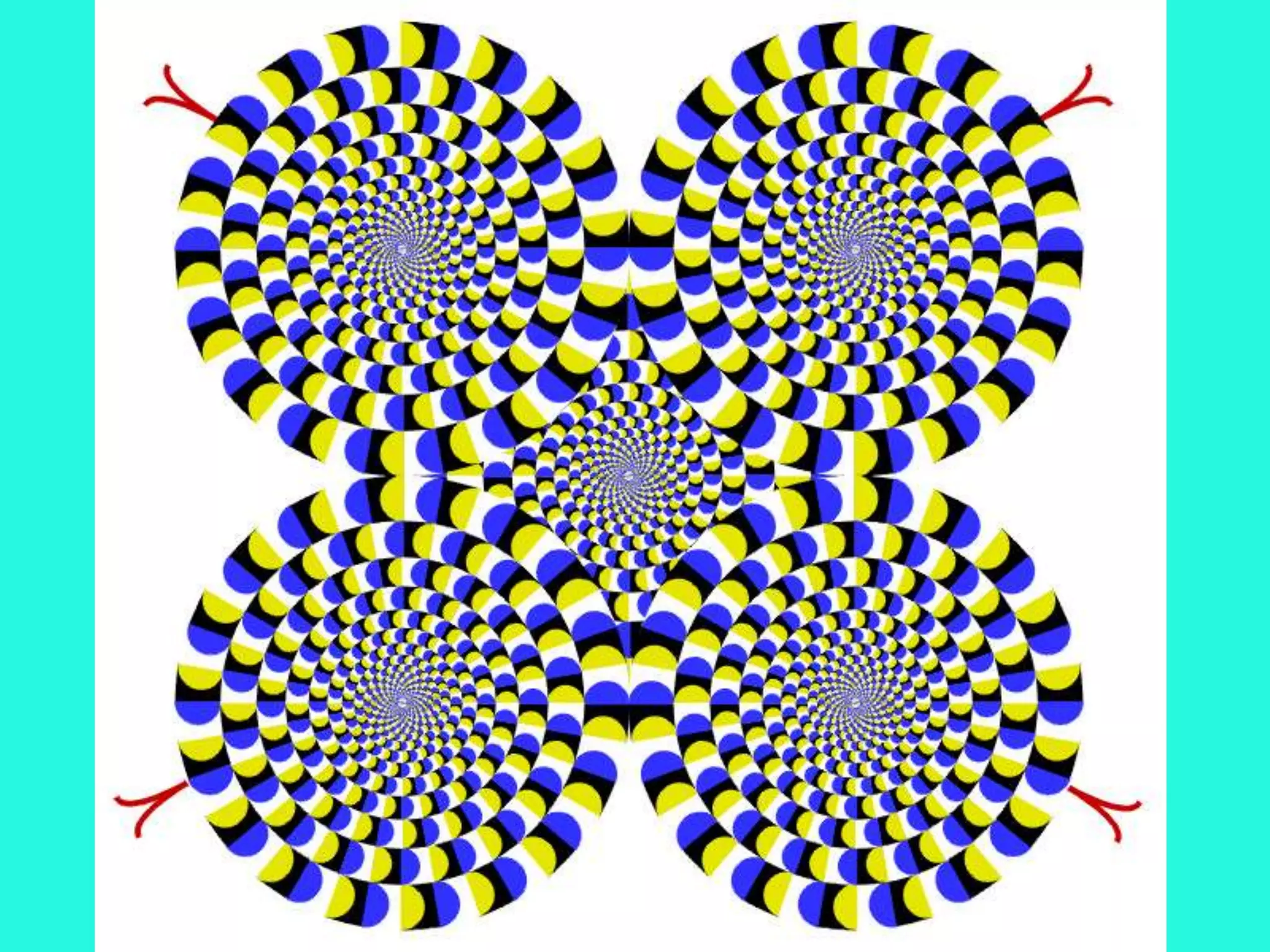 Optical illusions bridget riley1 | PPTX