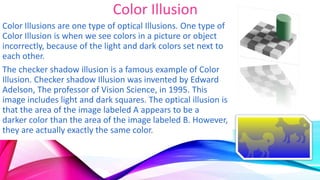 Optical Illusions By Saina | PPT