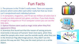 Optical Illusions By Saina | PPTX