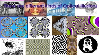 Optical Illusions By Saina | PPTX