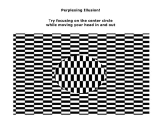 Optical illusions | PPTX
