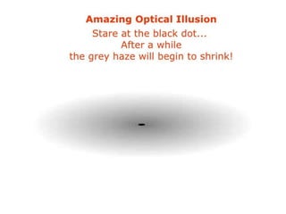 Optical illusions | PPTX