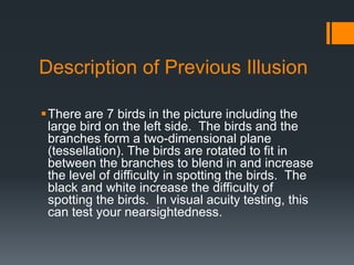 Optical illusions test | PPTX