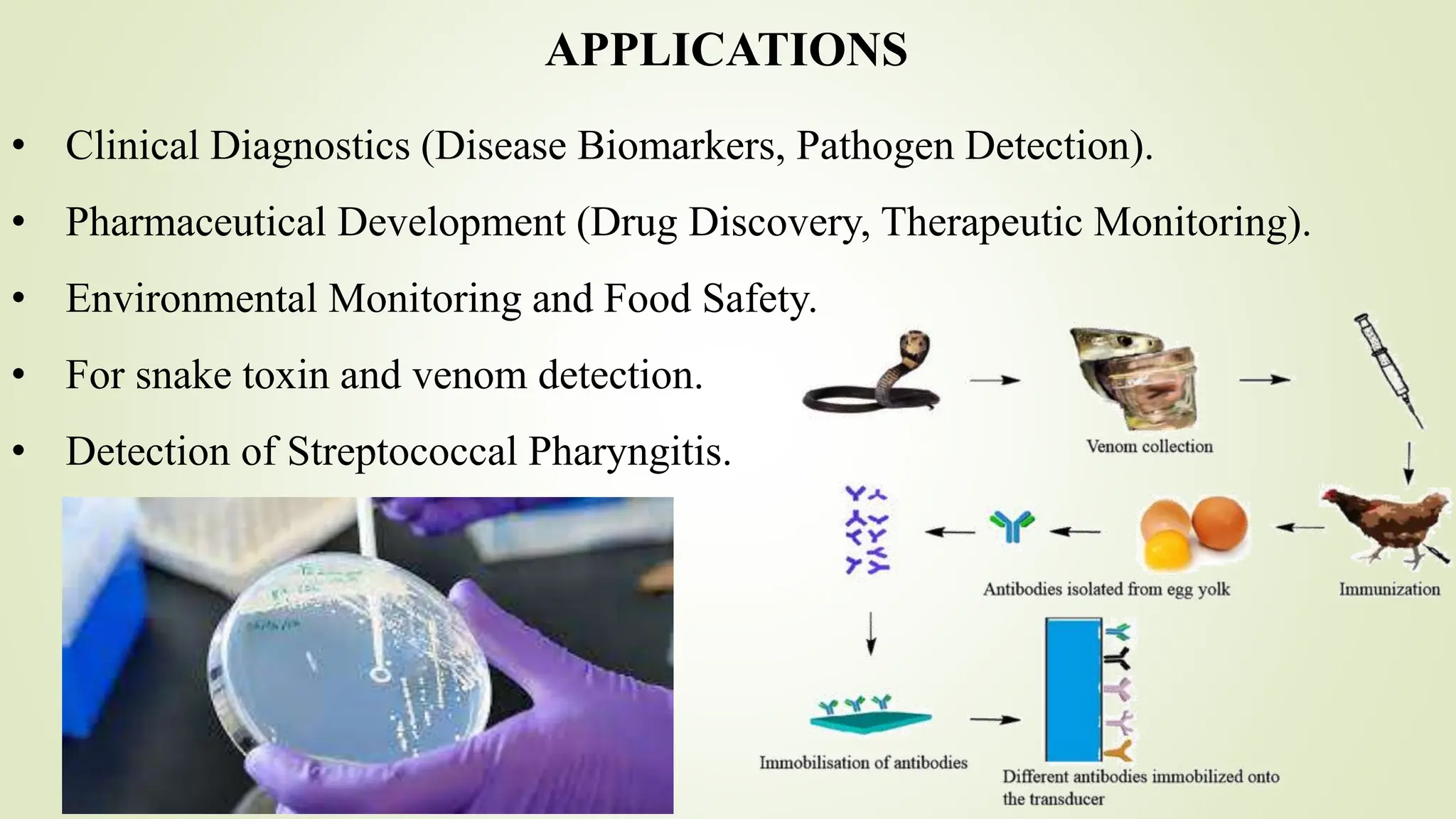 Optical Immunoassay.pptx