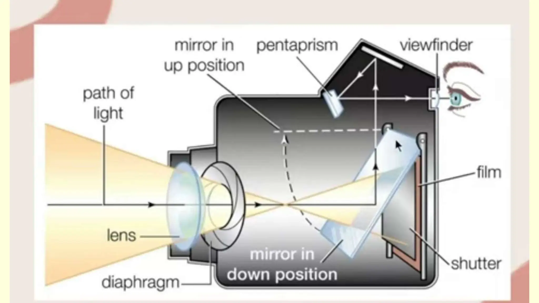 optical instrument. Science physics grades 1-4 | PPTX