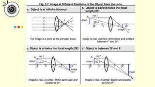 optical instrument. Science physics grades 1-4 | PPTX