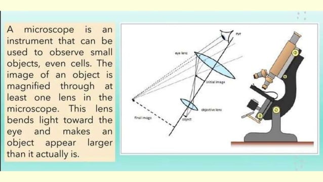 optical instrument. Science physics grades 1-4 | PPTX