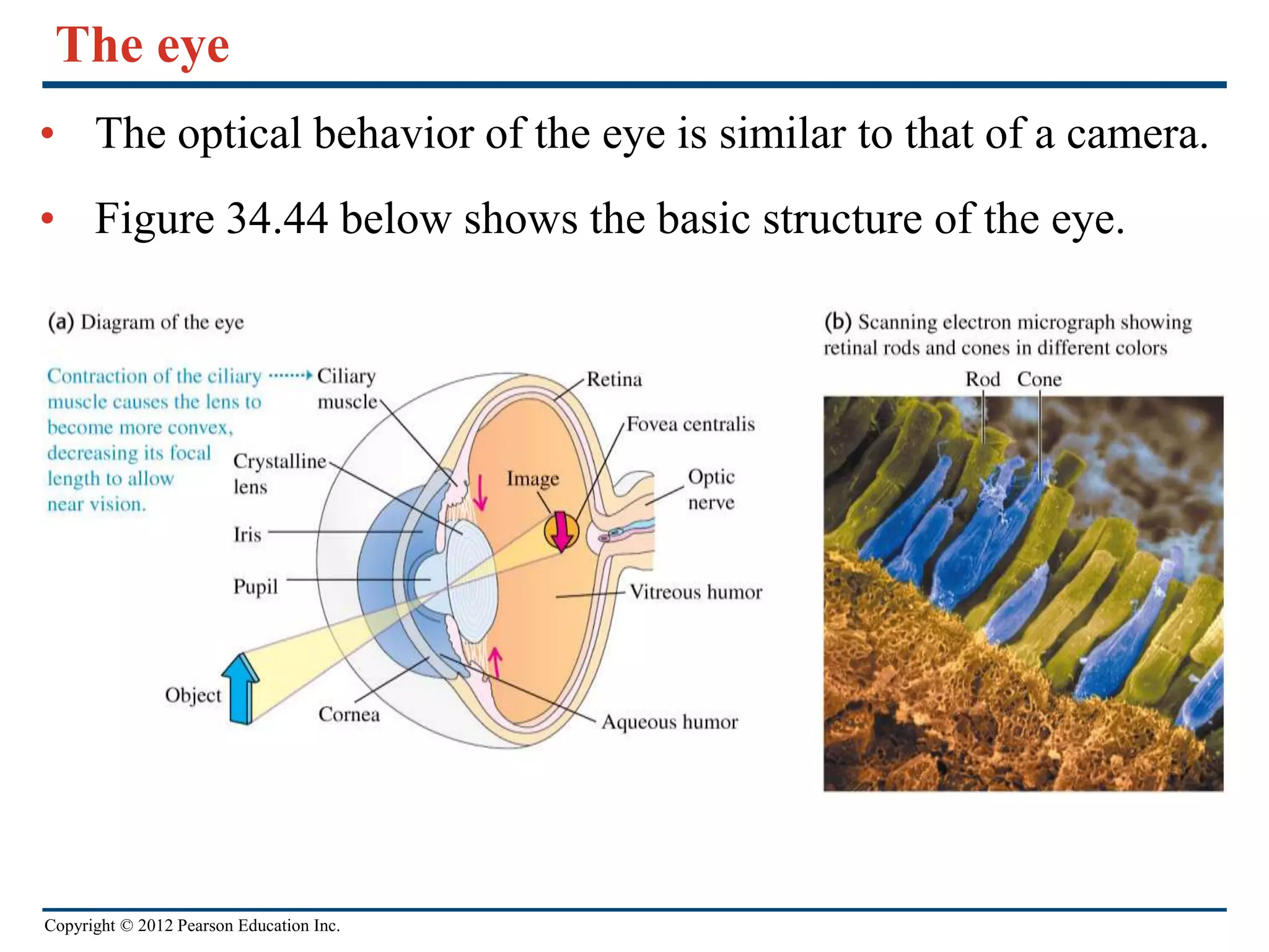 Optical Instruments.ppt