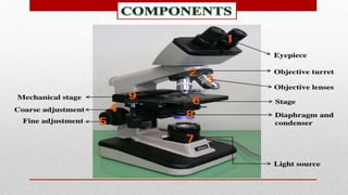 optical Microscope.pptx