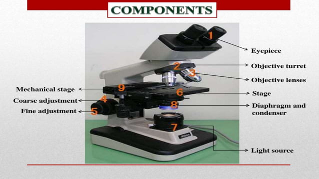 optical Microscope.pptx