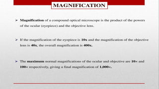optical Microscope.pptx