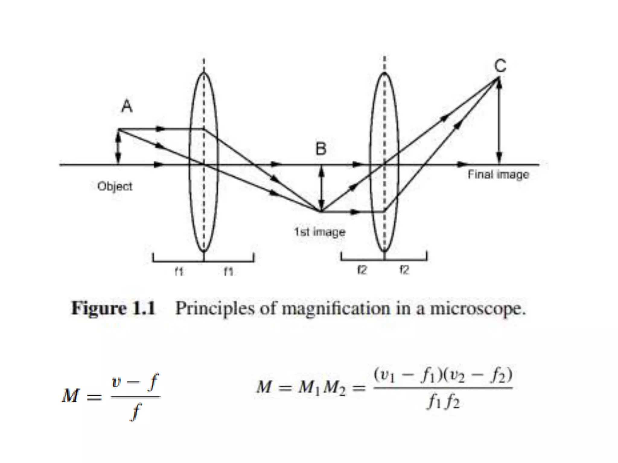 Optical Microscopy.pptx