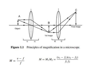 Optical Microscopy.pptx