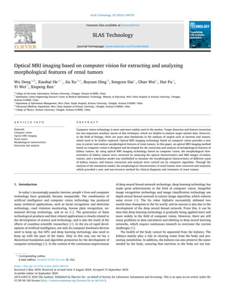 Optical MRI imaging based on computer vision for extracting and ...