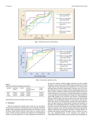 Optical MRI imaging based on computer vision for extracting and ...