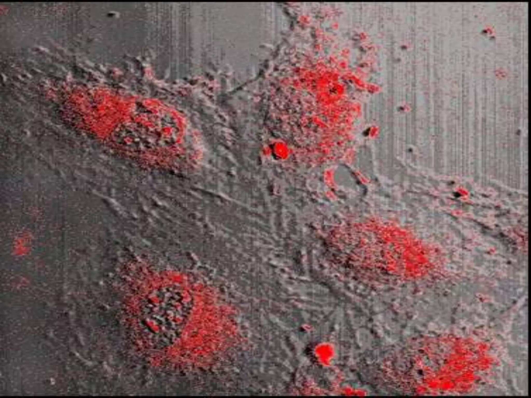 optical nanosensors | PPTX