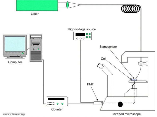 optical nanosensors | PPTX | Physics | Science