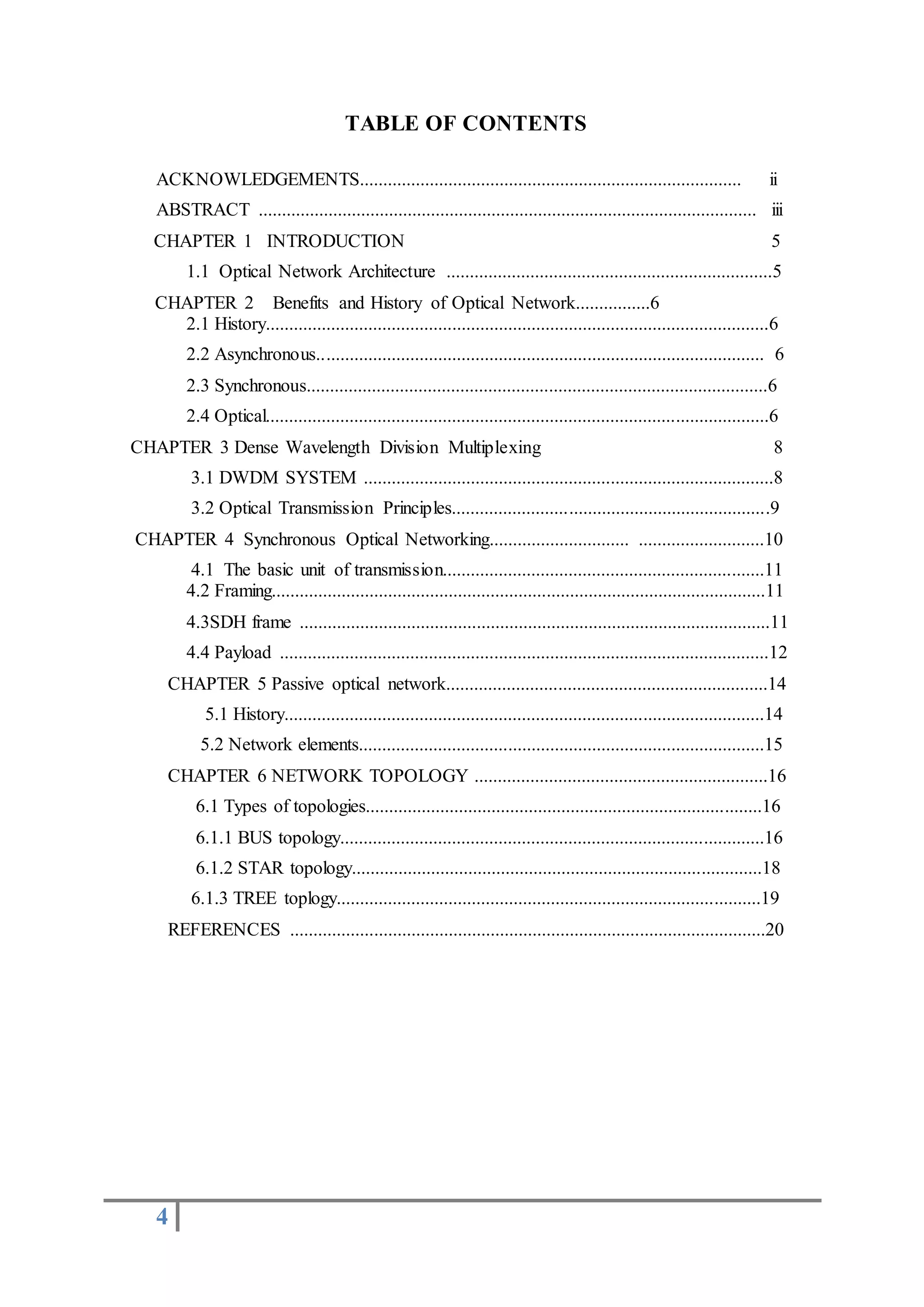 Optical Network Architecture Docx Computer Networking Computing