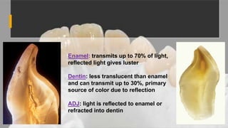 Optical props of dental ceramics part 1 | PPTX