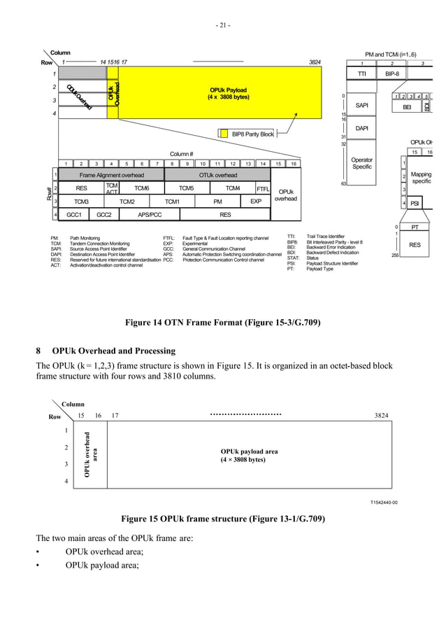 Optical Transport Network (OTN) Tutorial | PDF | Computer Networking | Computing