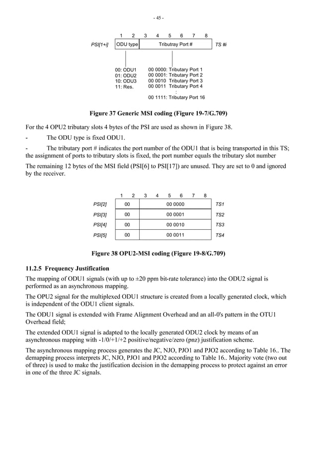 Optical Transport Network (OTN) Tutorial | PDF | Computer Networking | Computing