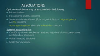 CONGENITAL OPTIC DISC ANOMALIES | PPTX